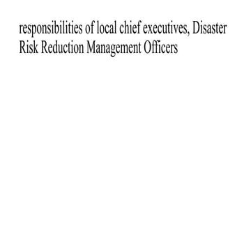 Proposed Local Disaster Risk Reduction Management Planning Process | PPTX