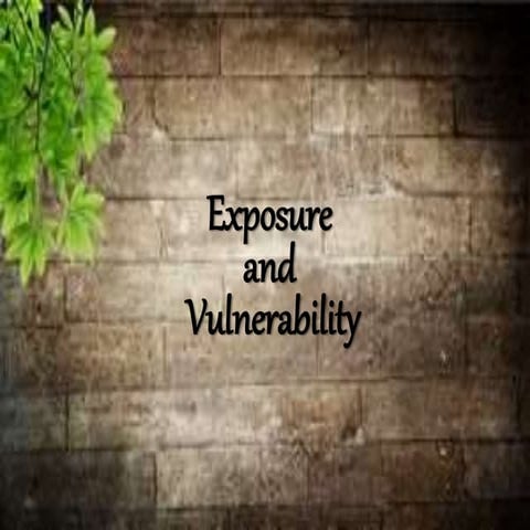 Exposure and Vulnerability (DRRR) | PPTX