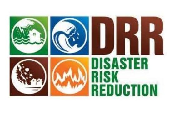 Disaster Risk Reduction | PPT
