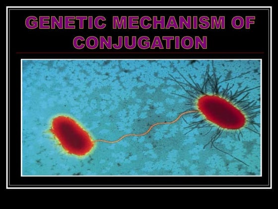 Conjugation: Discovery, F+, F- and Hfr conjugation, F- genetic crosses ...