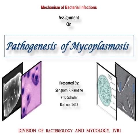 Pathogenesis of Mycoplasmosis | PDF