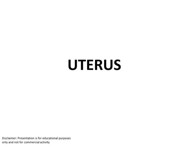 Gross Anatomy of Uterus | PPTX