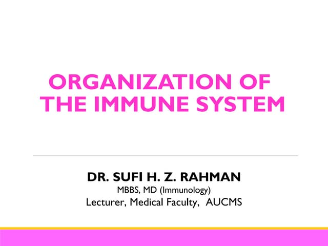 Primary and secondary lymphoid organs | PPT