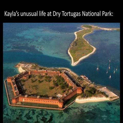 National parks | PPTX