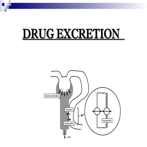 Drug-Excretion.easy explained pharmacology.ppt