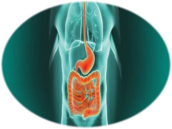 Digestants and Carminatives | PPTX