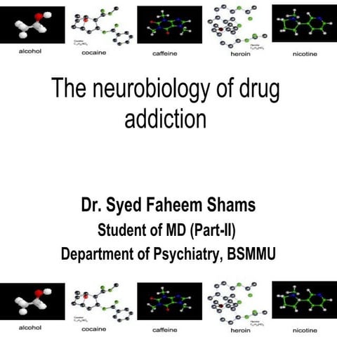Drug addiction neurobiology | PPT