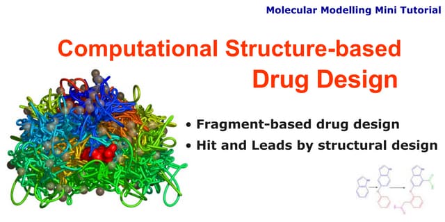 Rational drug design | PPT