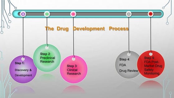 An Example of the Drug Development Process - Infographic | PDF