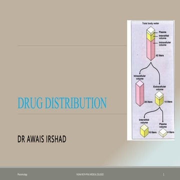 Drug Distribution.pptx