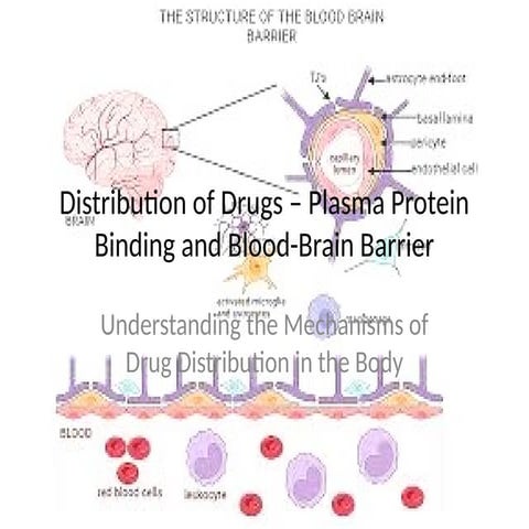 Distribution of Drugs – Plasma Protein Binding and Blood-Brain Barrier ...
