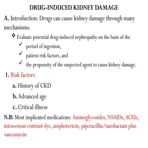 drug induced kidney disease medical presentation (1).pptx