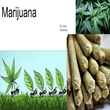 Timeline of Marijuana Legalization.pptx