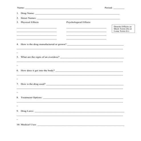 Drug project worksheet | DOC