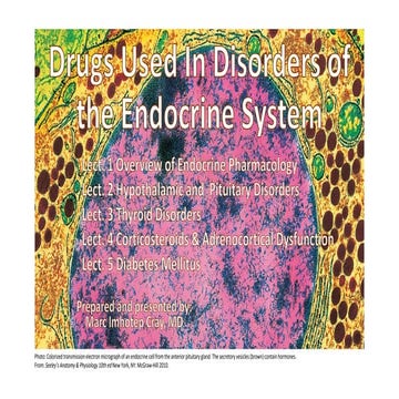 Drugs Used in Disorders of the Endocrine System, Lectures 1 through 6 | PDF