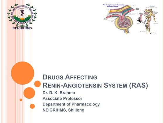 Renin Angiotensin Aldosterone System (RAAS).pptx
