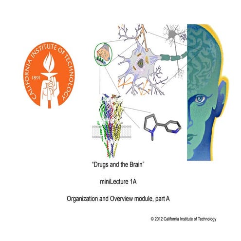 Drugs&brain mini lectures_1-10 | PPT