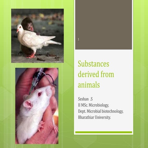 Animal sources of drugs, medicines and perfumes | PPT
