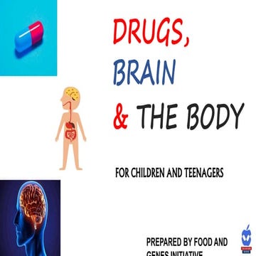 Drug, Body and Brain | PPTX