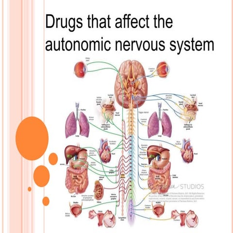 Drugs that affect the autonomic nervous system | PPT