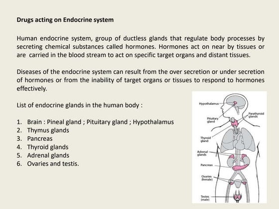 Anabolic Steroids And The Athlete A Case Study | PDF