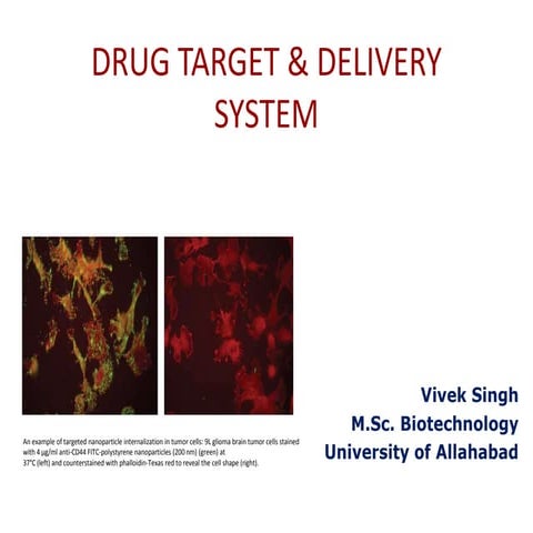 Drug target & delivery system | PPTX