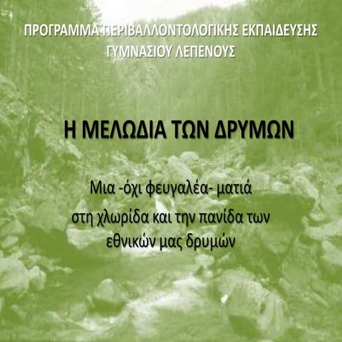 Η μελωδία των δρυμών | PPTX