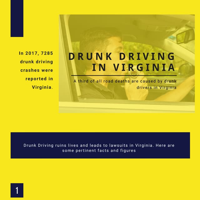 Drunk Driving in Virginia - The Facts | PDF
