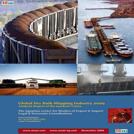 Dry bulk shipping industry report 2009 | PDF | Commodities | Economy