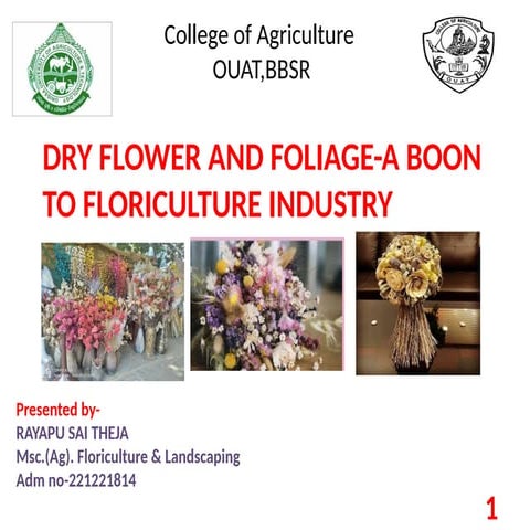 DRY FLOWERS AND FOLIAGE -BOON TO FLORICULTURE INDUSTRY | PPTX