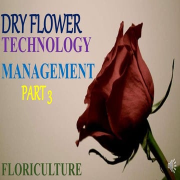 Dryig method of flower part3#dry flower#ornamentalAGRI #SILVI #GURU# ...