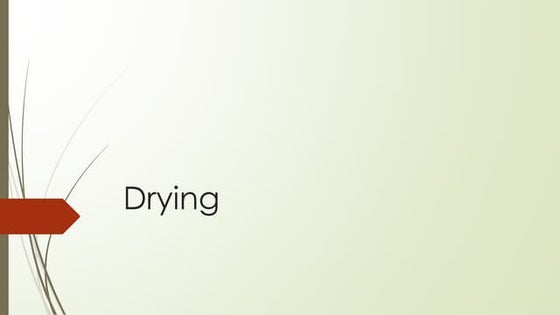 Pharmaceutical Drying Process | PPT