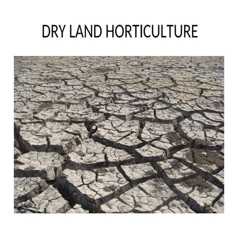 Dry land agriculture | PPTX