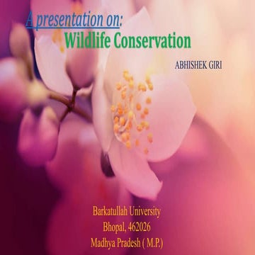 wildlife conservation | PPT