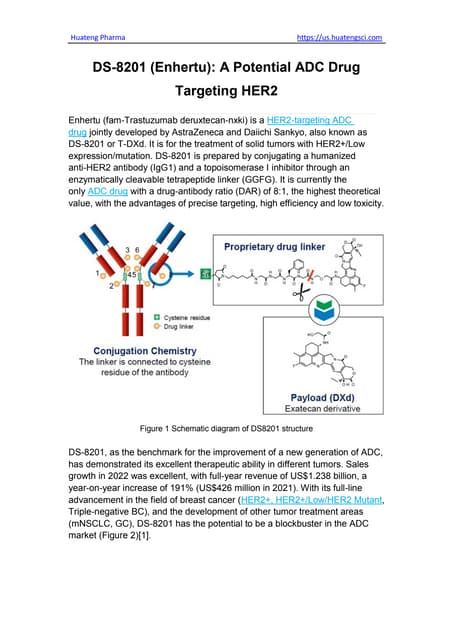 9 Types of Drug Conjugates Overview ADC、RDC、ISAC、SMDC、AOC.pdf