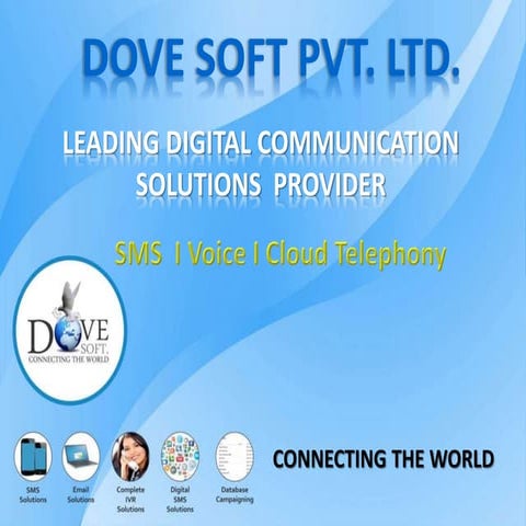 Unlocking Customer Engagement, Overview of Dove Soft Ltd | PPTX