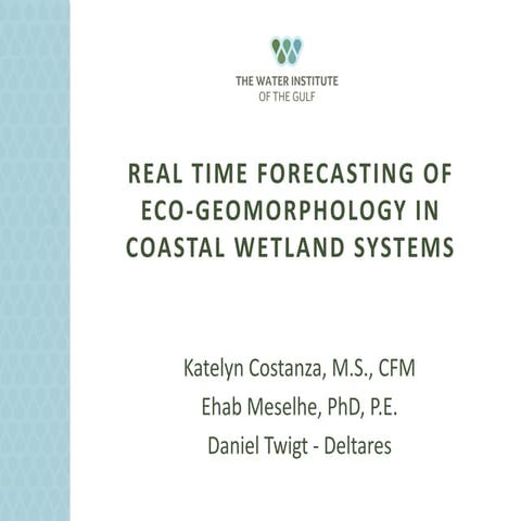 DSD-INT 2014 - Delft-FEWS Users Meeting - Coastal Ecologic and ...