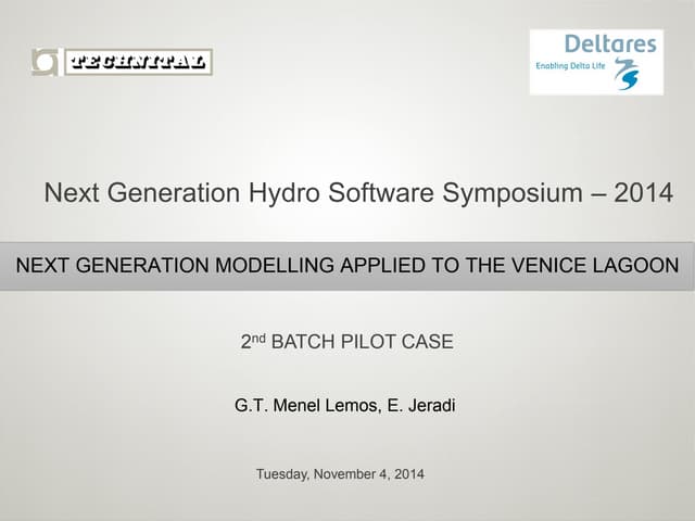 Dsd Int 2014 Symposium Next Generation Hydro Software Nghs Venice Lagoon 3 Estuarine