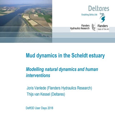 DSD-INT 2018 Mud dynamics in the Scheldt estuary - modelling natural ...