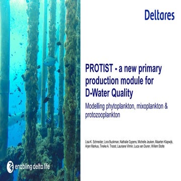 DSD-INT 2022 PROTIST - a new primary production module for D-Water Quality - Schneider | PDF ...