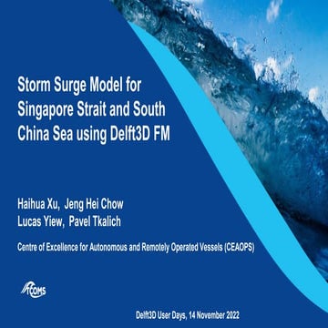 DSD-INT 2022 Storm Surge Model for Singapore Strait and South China Sea ...