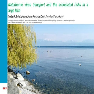 DSD-INT 2022 Waterborne virus transport and the associated risks in a ...