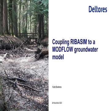 DSD-INT 2025 iMOD Coupler - coupling Ribasim – MetaSWAP – MODFLOW 6 - Leander | PDF