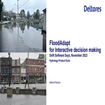 DSD-INT 2023 FloodAdapt for Interactive decision making - Roscoe | PDF
