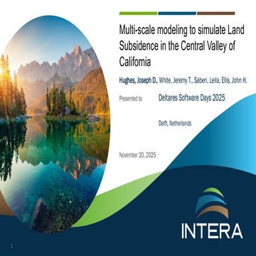 DSD-INT 2025 Multi-scale modeling to simulate Land Subsidence in the ...