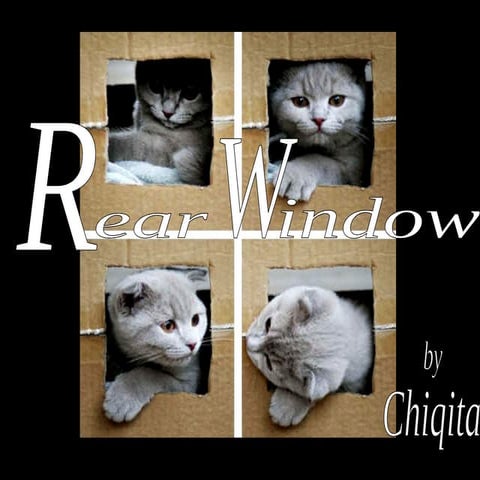 Rear Window | PPT