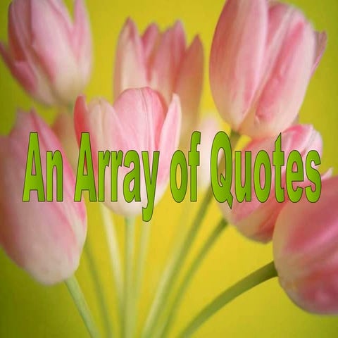 An Array of Quotes | PPS