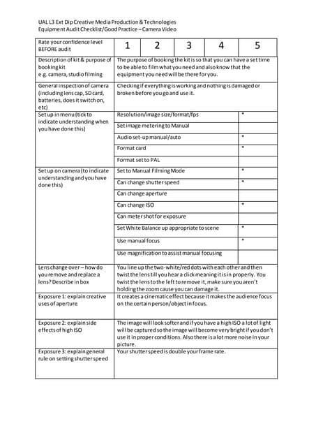 Camera Audit Form Blank.docx