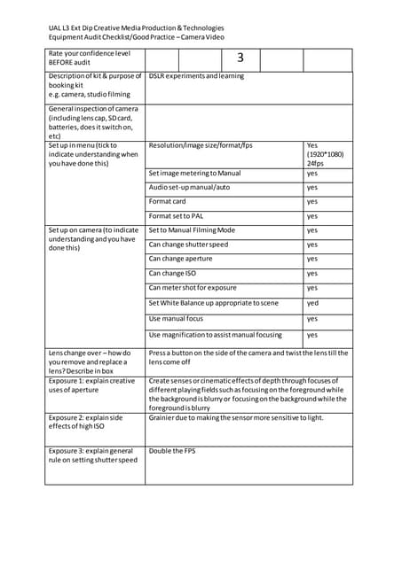 Camera Audit Form Blank.docx