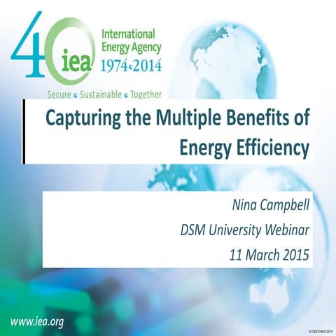 Capturing the Multiple Benefits of Energy Efficiency | PDF